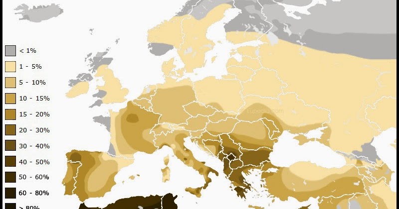 Расология, Антропология, Генетика : Haplogroup E1b1b (Y-DNA)